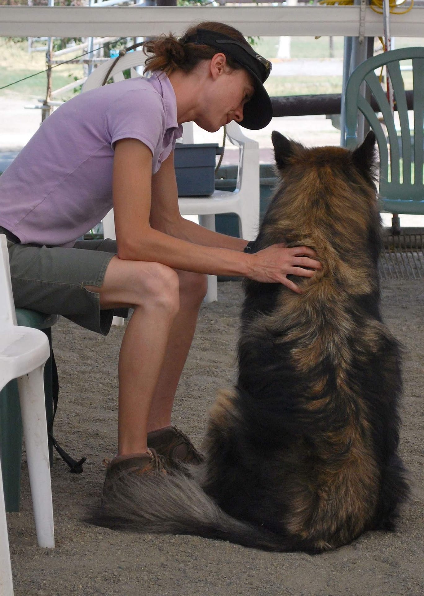 Companion Animals - Tellington TTouch Training British Isles